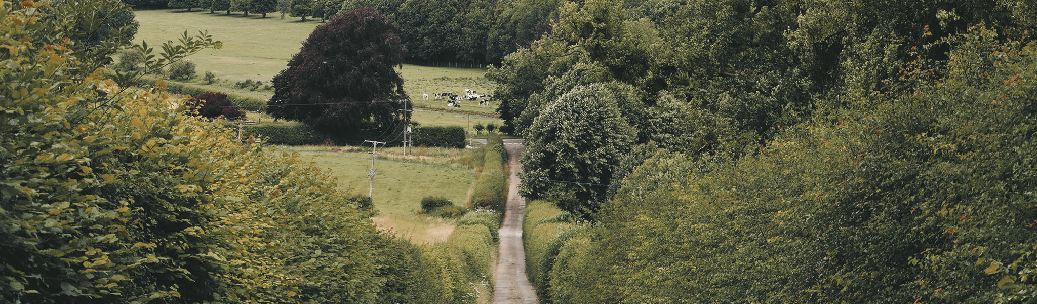 CSX Carbon supported by The Evergreen Fund in closing £2.5 million in ...