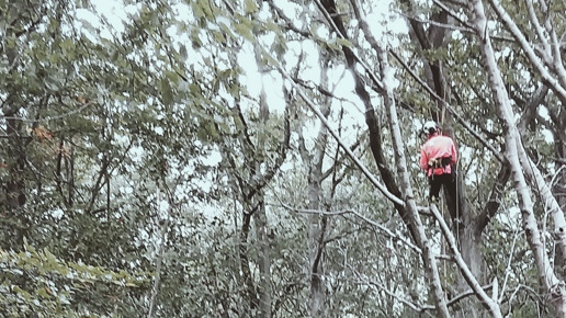 Grounds Maintenance | Ground Control