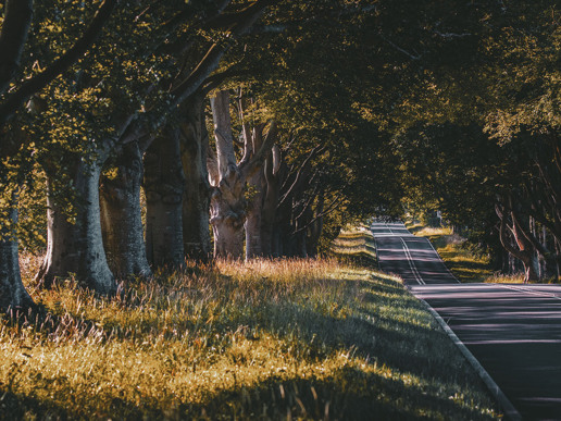 Create. Maintain. Sustain | Ground Control